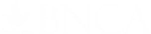 Home - BNCA Design
